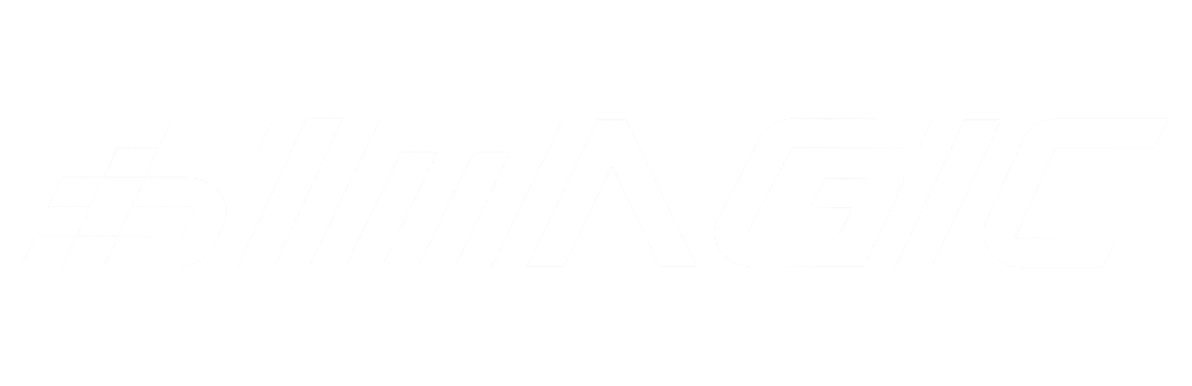 Volante PC Professionale | Simagic Alpha | Direct Drive Italia